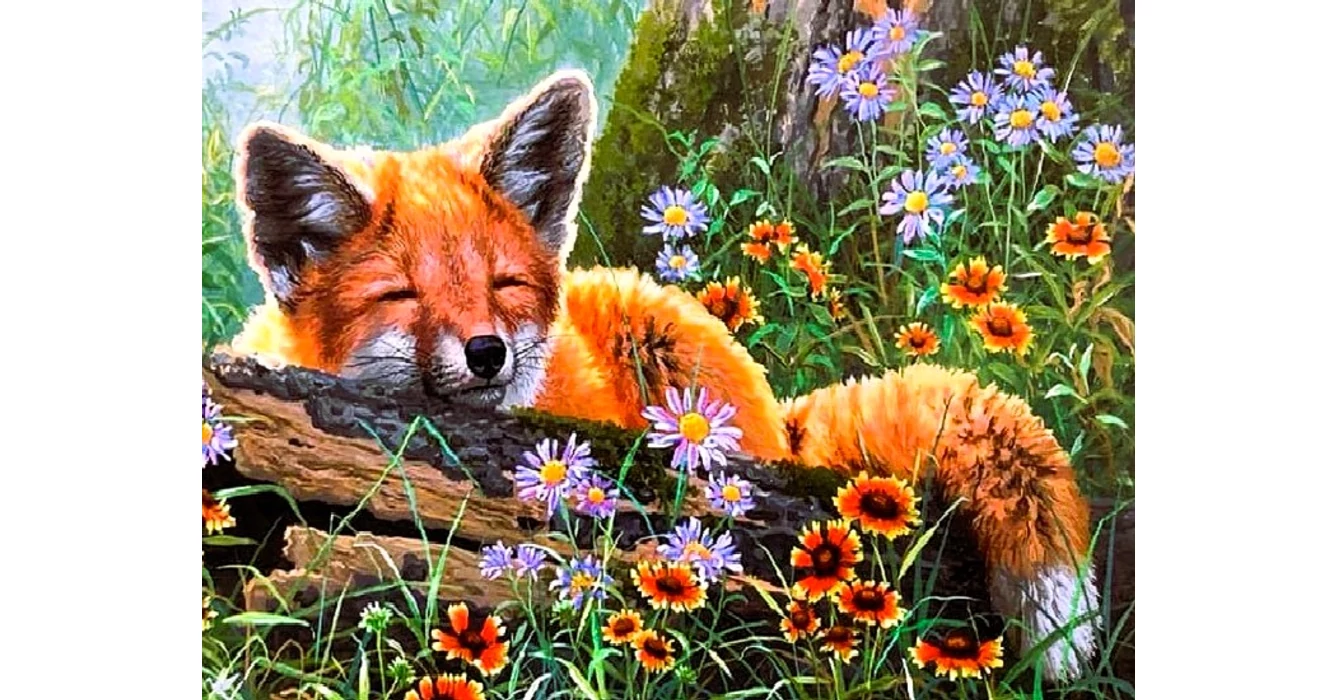 Kisróka - számfestő készlet kerettel - Alkoss Otthon kreatív áruház